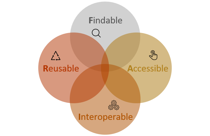 QuaLiPerF - Quantifying Liver Perfusion-Function Relationship in ...